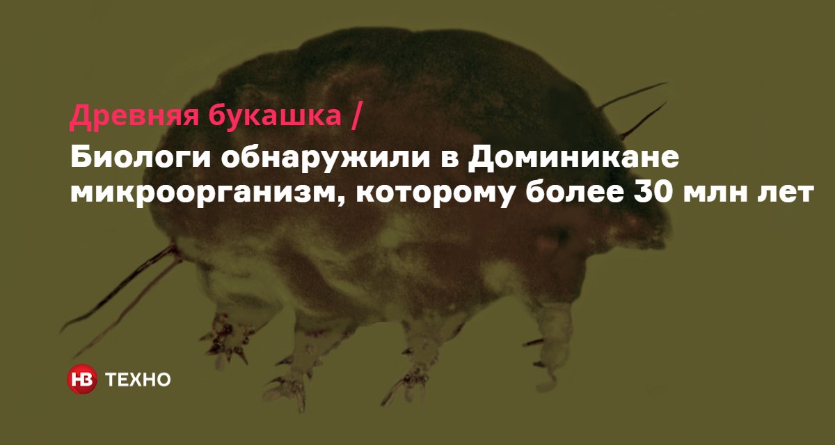 Кайнозой — ученые обнаружили микроорганизм, которому более 30 млн лет / NV
