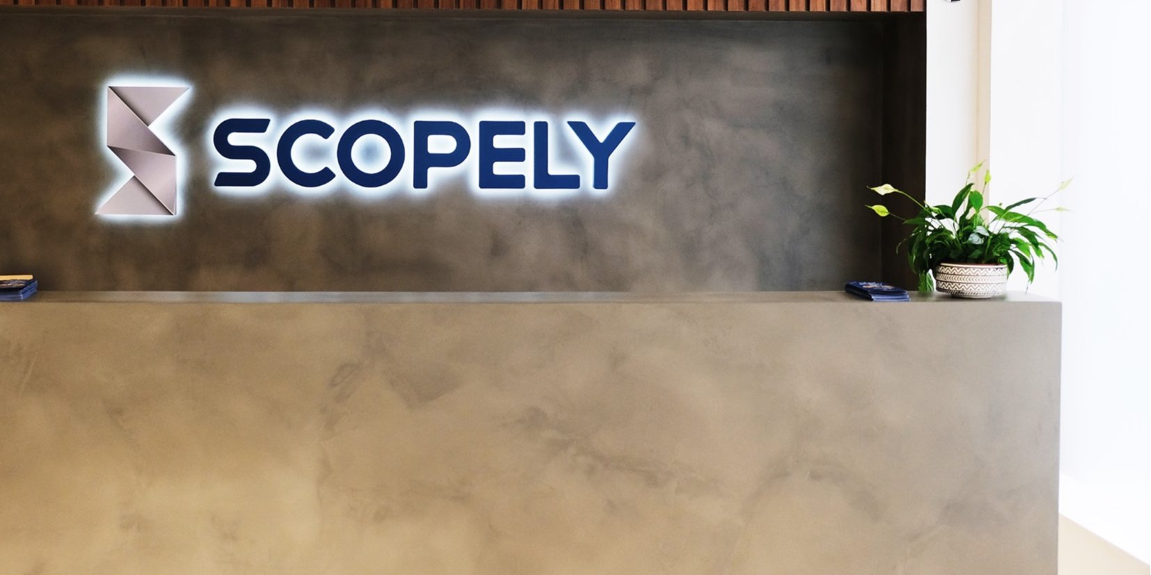 Savvy Games покупает Scopely с офисом в Украине — какая сумма сделки / NV