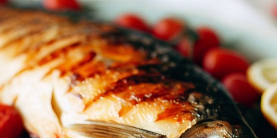 Скумбрія в духовці простий рецепт запікання риби з томатами та лимоном — корисно та швидко Nv