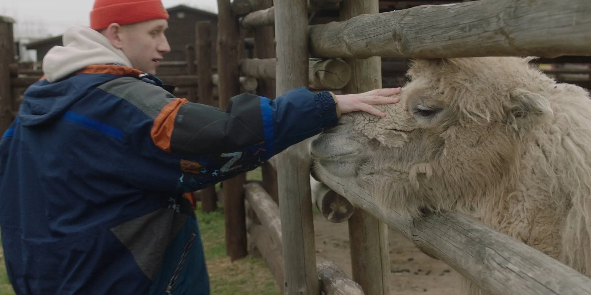 Those Who Stayed – Ukrainian miniseries set to debut on Netflix / The ...