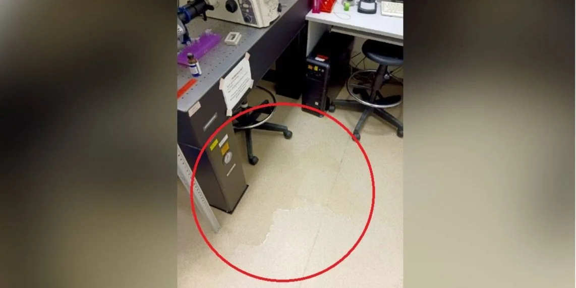 Urine flooded lab at Russia's most prestigious university - photo / The ...