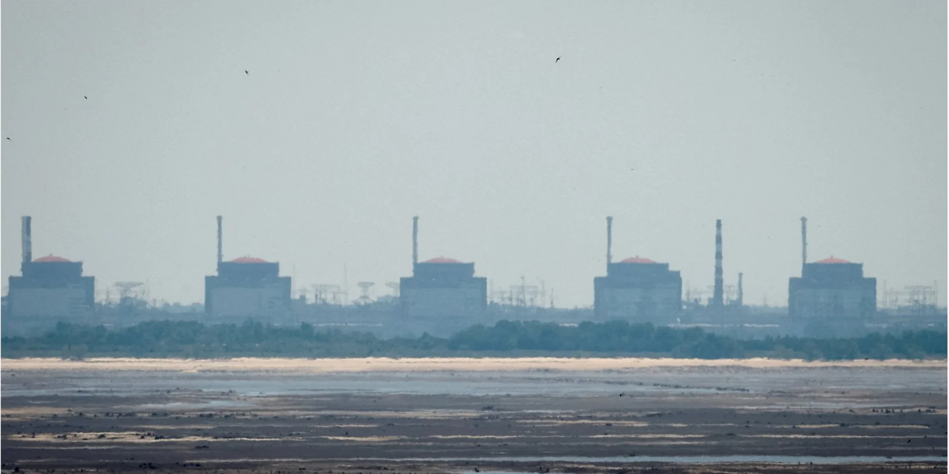 DW: Last ZNPP’s unit in hot shutdown put into cold mode / The New Voice ...