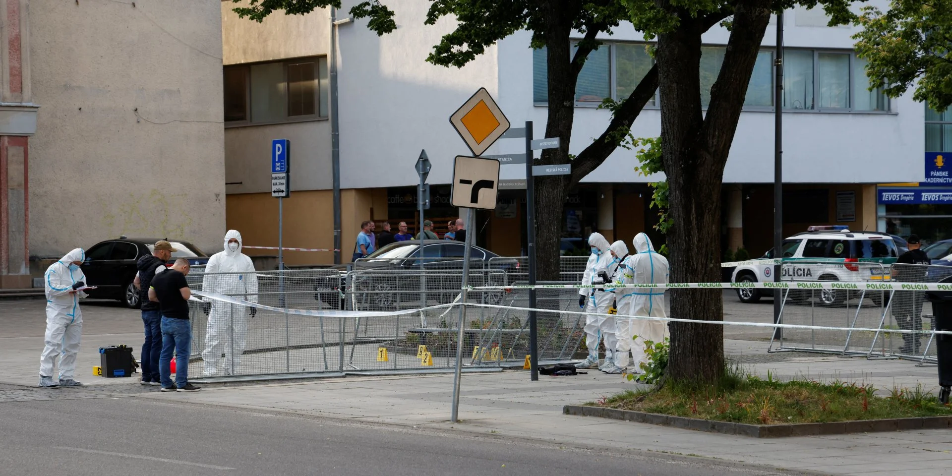 Robert Fico - the attacker of the prime minister of Slovakia shot ...