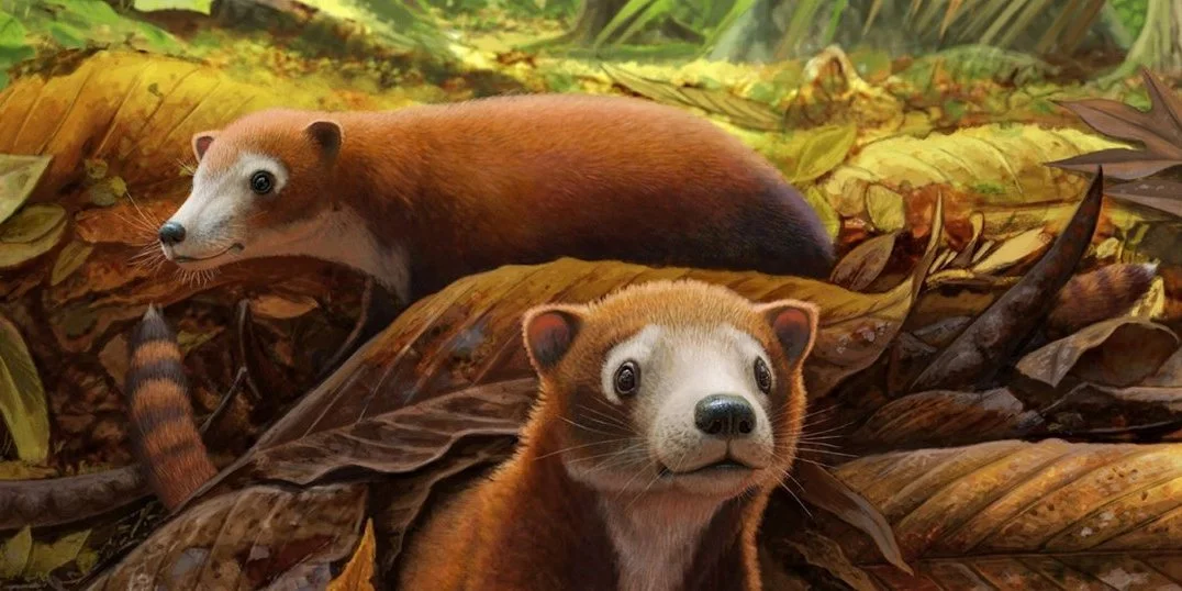 Откуда взялись коровы и свиньи — назван вероятный прародитель / NV