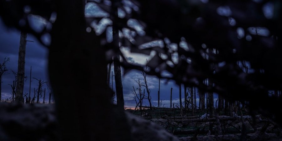 Азов діє на Кремінському напрямку: тактичні успіхи та їх вплив на фронт ...