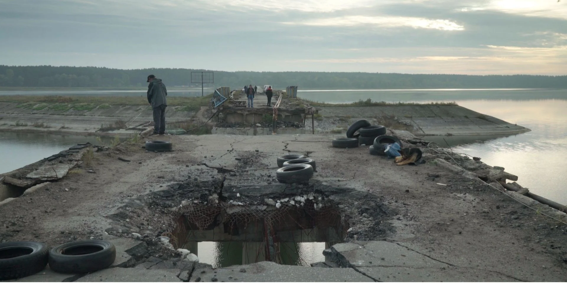 Оскар 2025 — Український Оскарівський комітет назвав фільми, які можуть ...