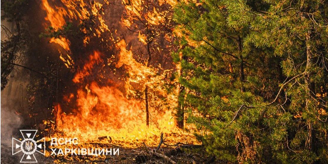 Forest fire in Kharkiv Oblast forces partial evacuation of Andriivka ...