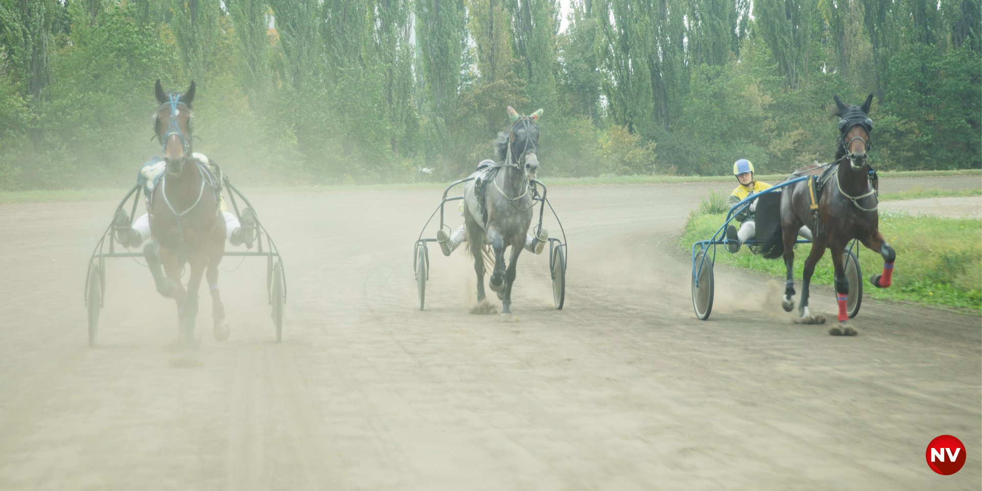 Kyiv Hippodrome struggles with funding as longtime staff keep it ...