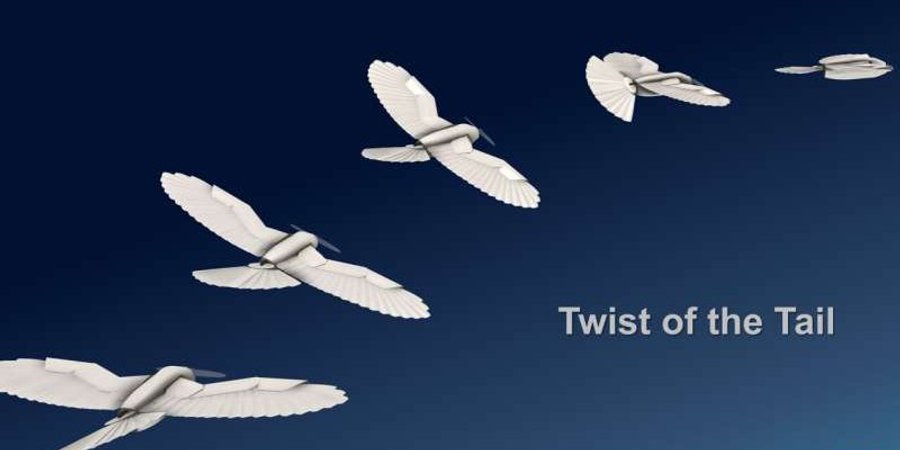 Ученые создали летающего робота-ястреба с уникальной системой ...