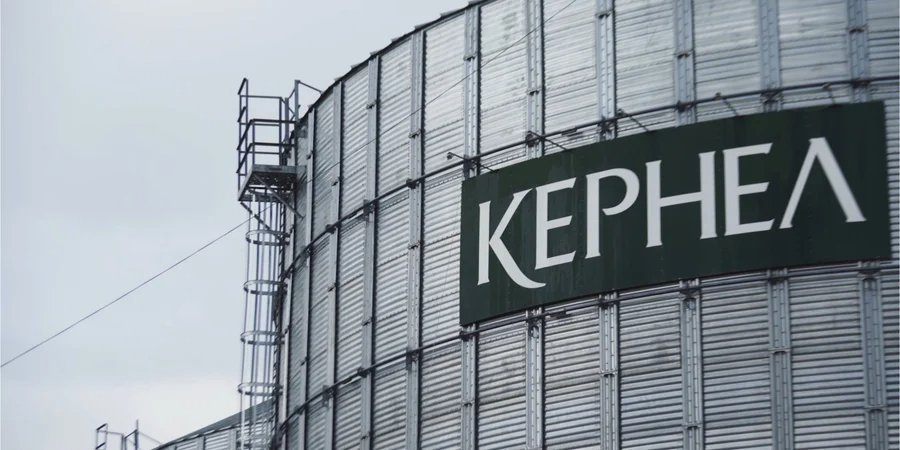 Крупнейший производитель масла в Украине остановил один из заводов / NV