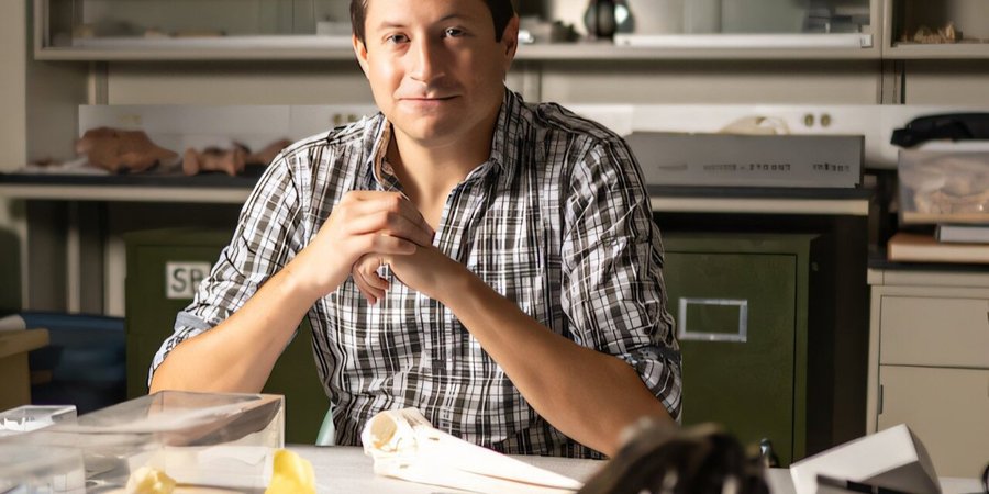 В Антарктиді виявлено викопні рештки найдавнішого сучасного птаха / NV