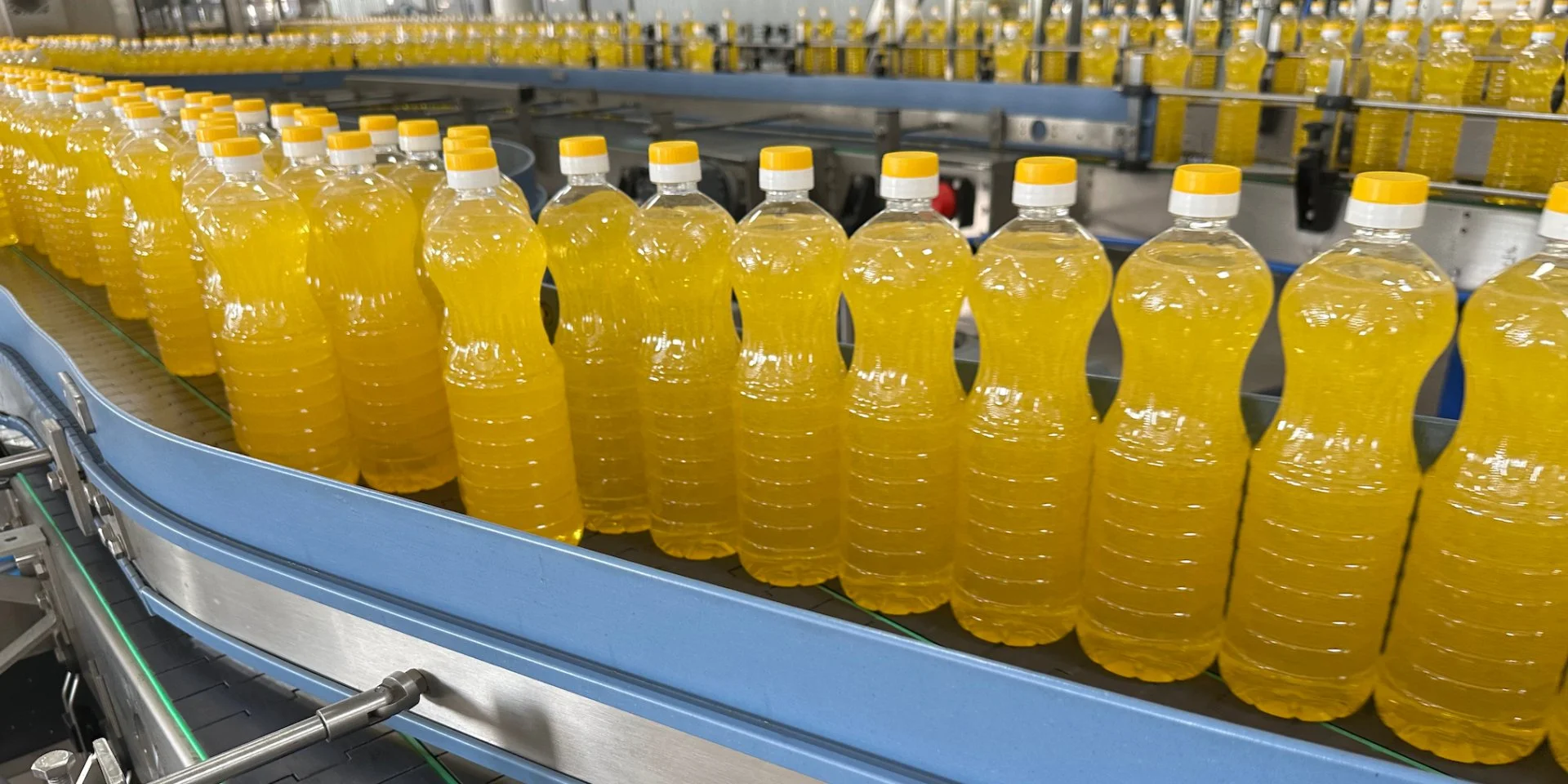 Kernel increases profit and revenue - News of Ukraine / The New Voice ...