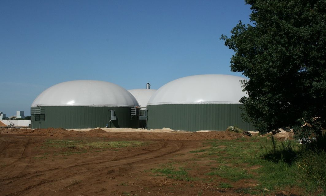 Ukrainian farm taps biogas to power the future / The New Voice of Ukraine