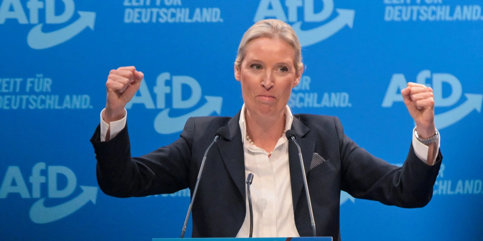 AfD calls for snap elections after Merz fails to secure majority in ...