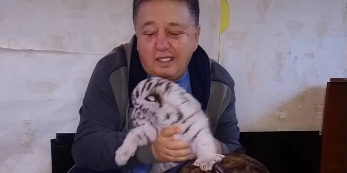 Dog raises abandoned tiger cubs in Kharkiv Feldman ecopark / The New ...
