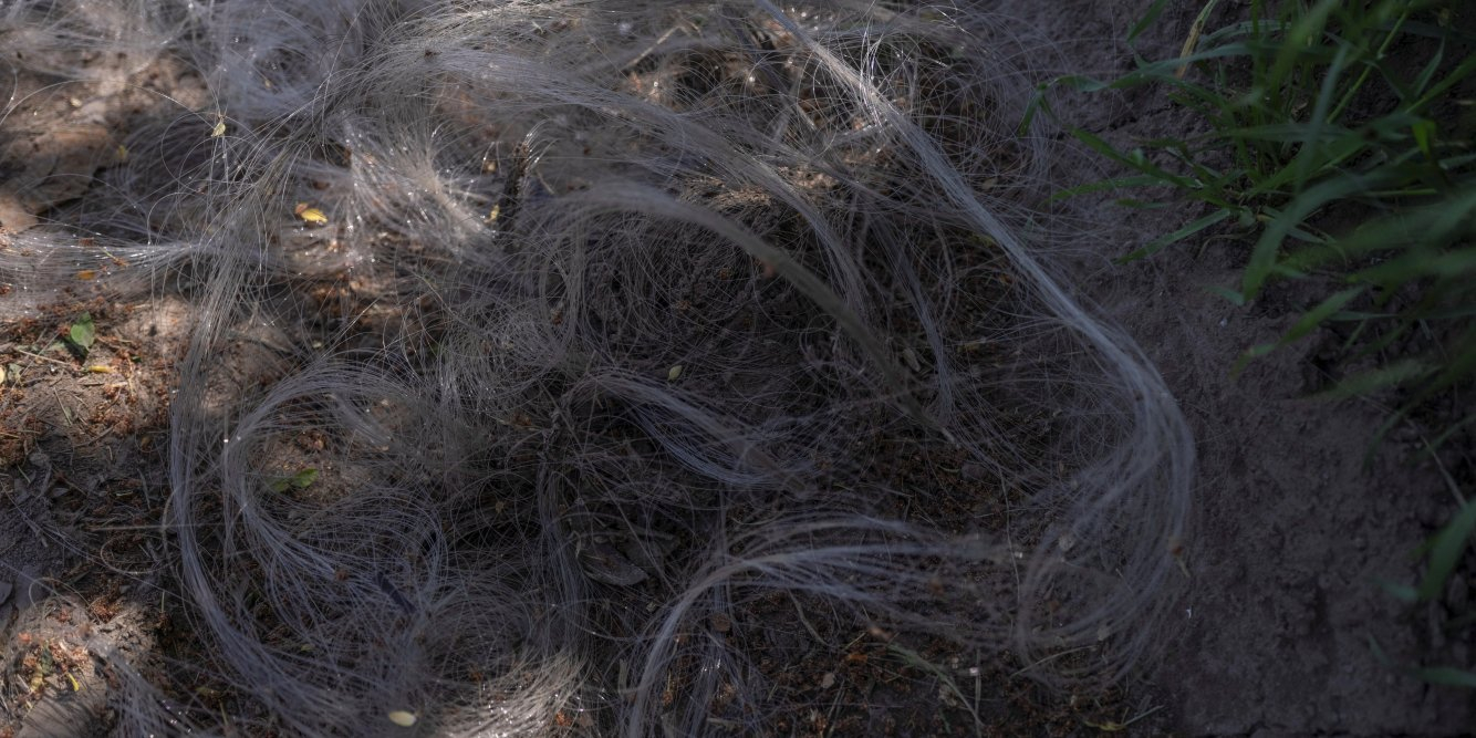 Ukraine can counter Russian FPV drones, says Hero of Ukraine Vitaliy ...