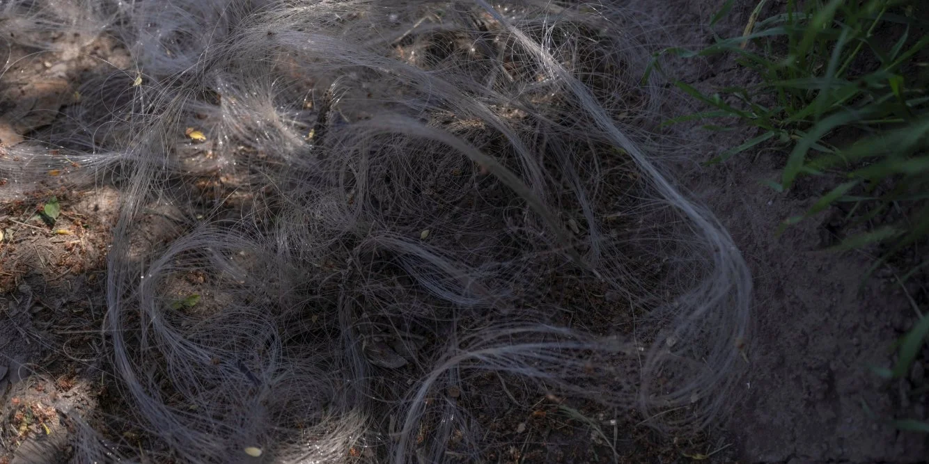 Ukraine can counter Russian FPV drones, says Hero of Ukraine Vitaliy ...