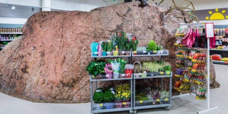 10,000-year-old glacial boulder stands preserved inside Estonian ...