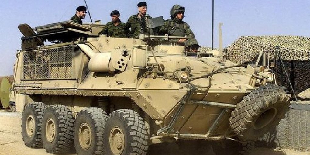 БТР Bison — Характеристики, озброєння та можливості машини — фото ...