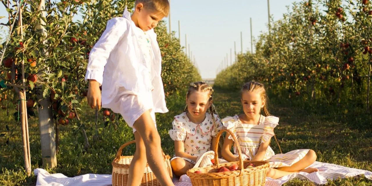 Компания Bonelet — Алина Сиденко о состоянии бизнеса, рисках и как ...