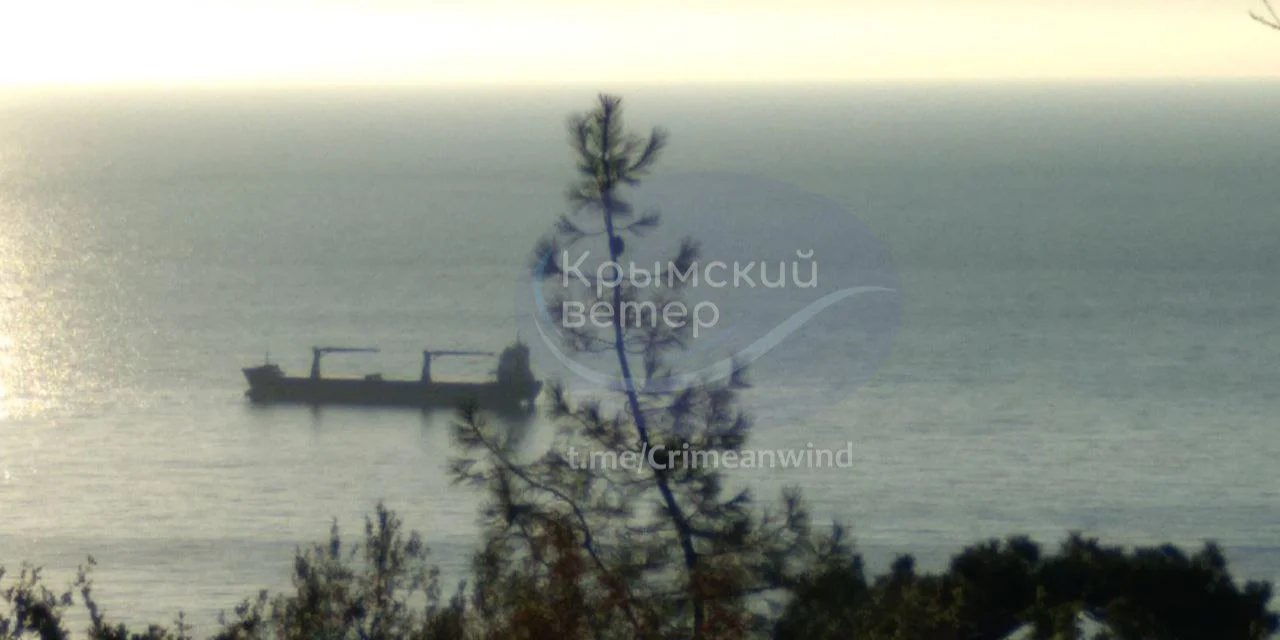 More Russian bulk carriers spotted stealing Ukrainian grain in Yalta ...