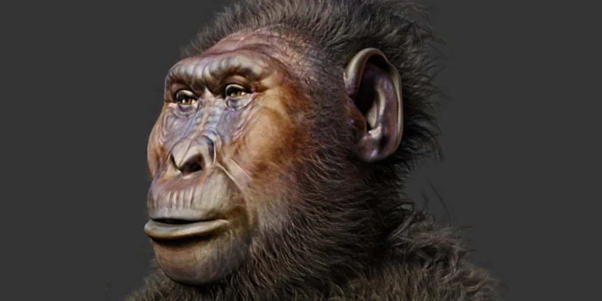 Paranthropus boisei — Уникальные останки кисти открыты возле озера ...