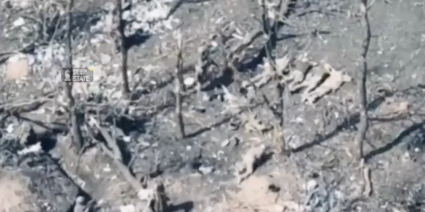 Російські війська розстріляли 5 українських полонених на фронті - DeepState / NV