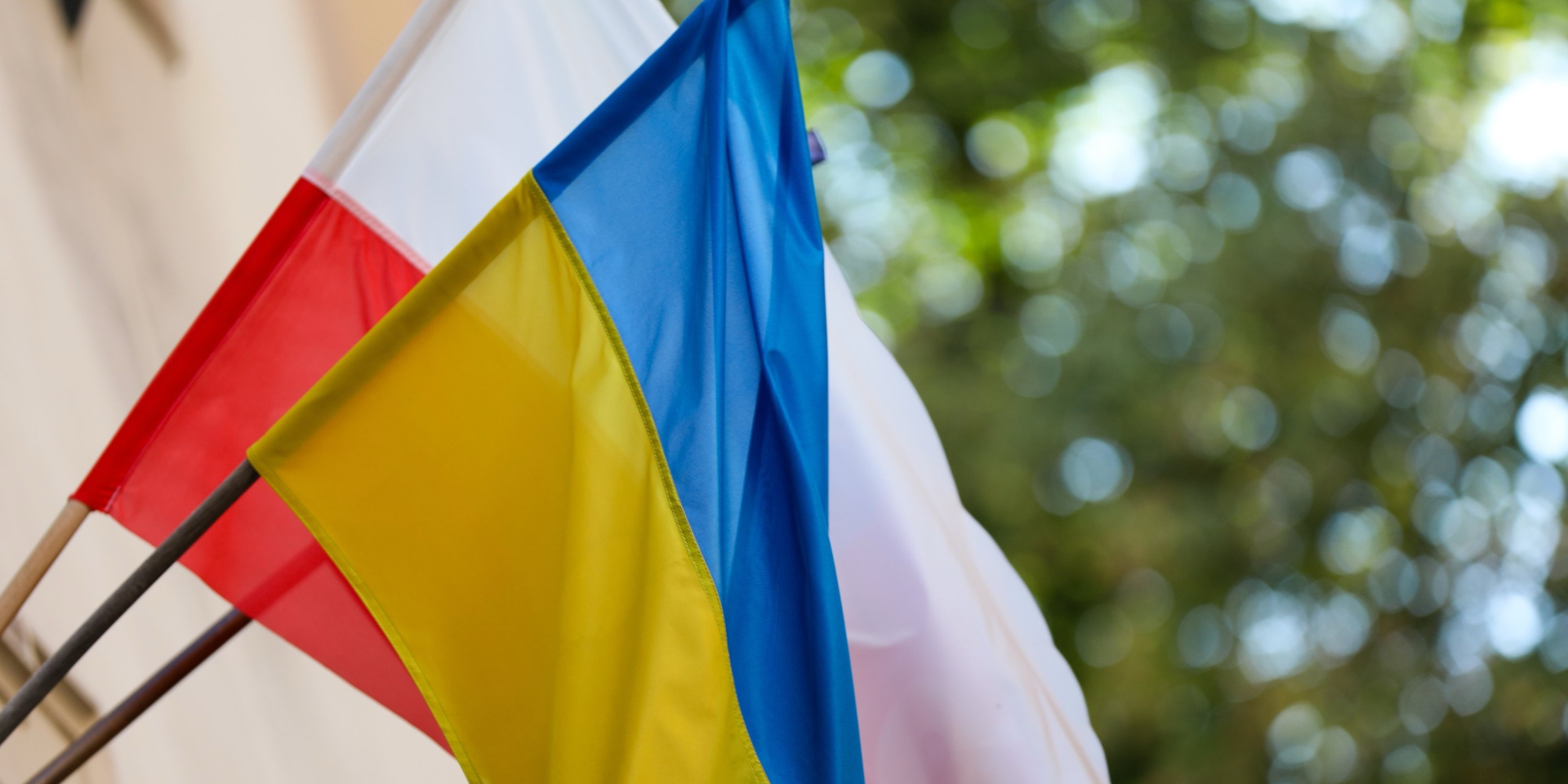 Poll: Most Ukrainians oppose outside influence on history / The New ...