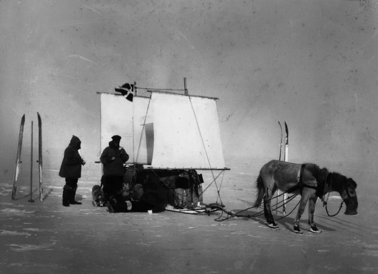 Гренландия Трамп — датский остров не продается и даже хочет ...