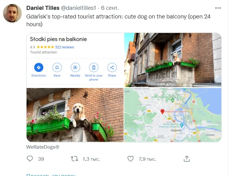 Найпопулярніше місце Гданська — балкон з ретривером — фото / NV