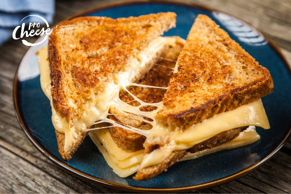 Сыр: польза, содержание кальция в разных сортах, можно ли детям давать ...