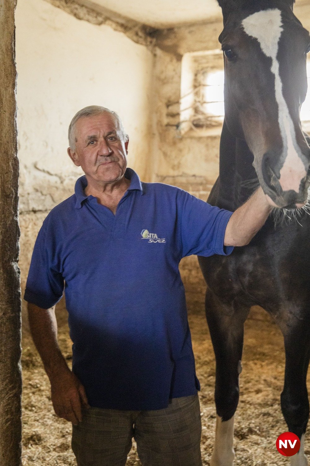 Kyiv Hippodrome struggles with funding as longtime staff keep it ...