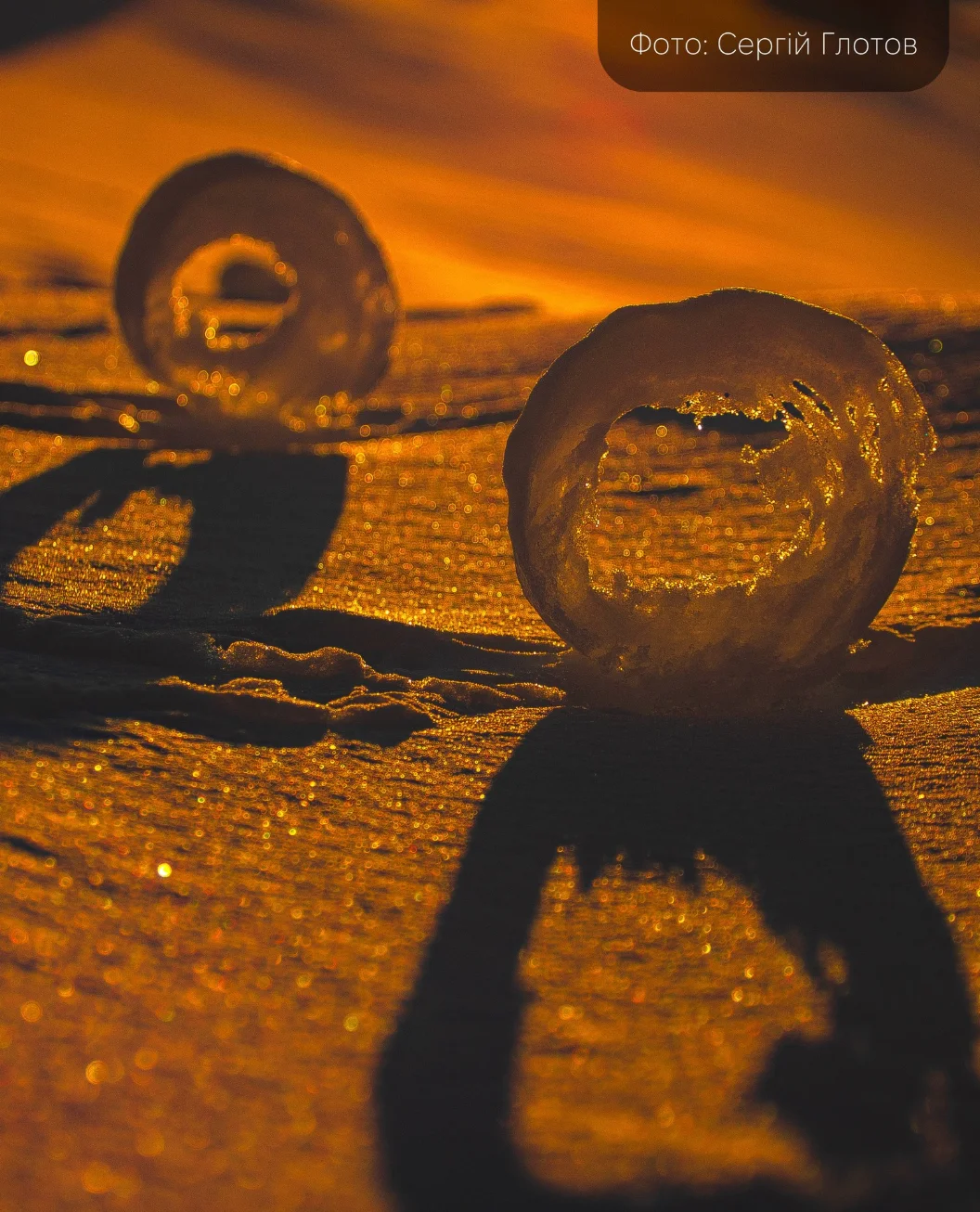 Явища Антарктики — Як виникають снігові пончики, крижані млинці та ...