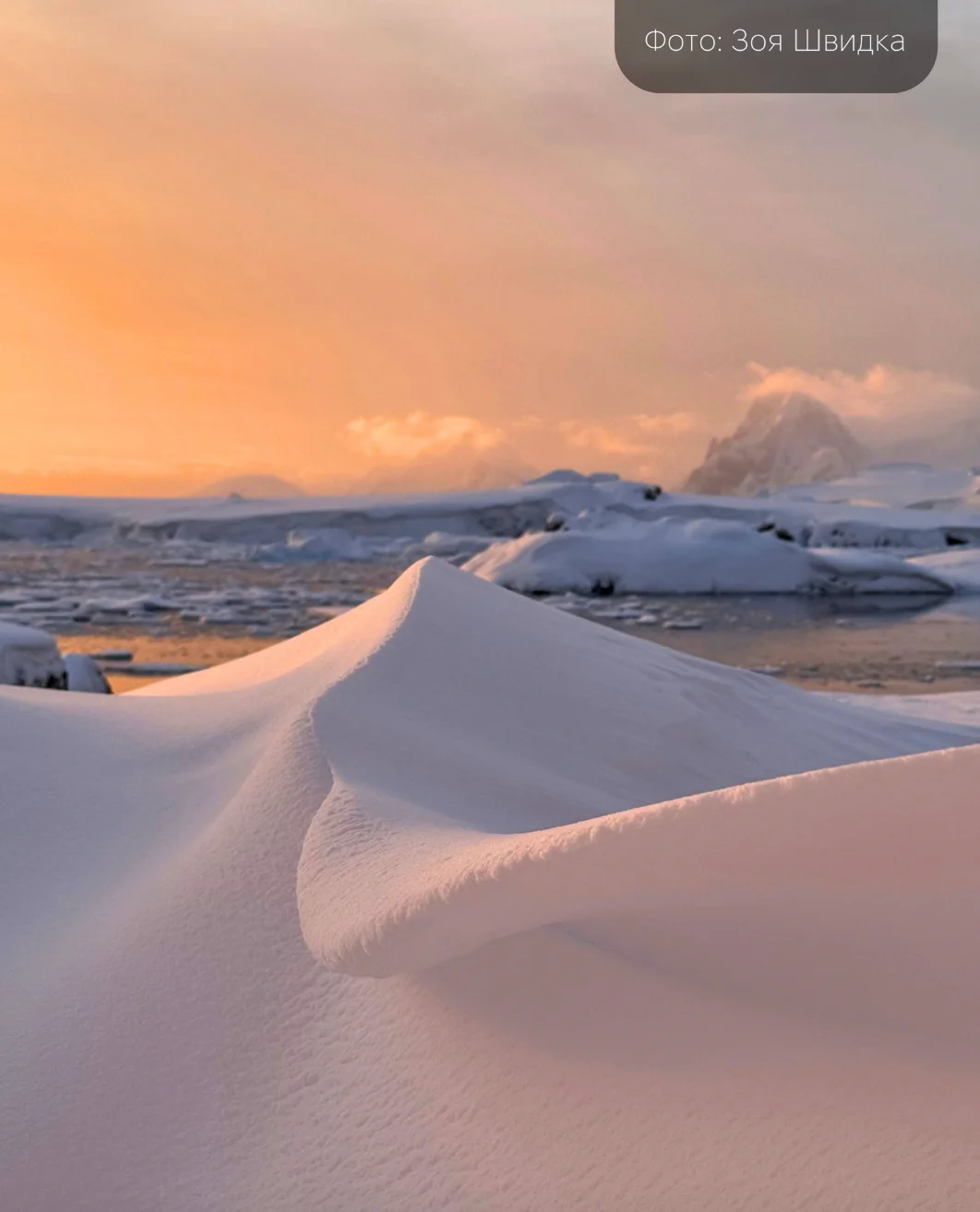 Явления Антарктики — Как возникают снежные пончики, ледяные блины и ...